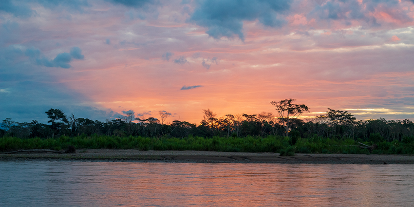 Madidi National Park: Explore The Amazon’s Untamed Beauty - TripXL
