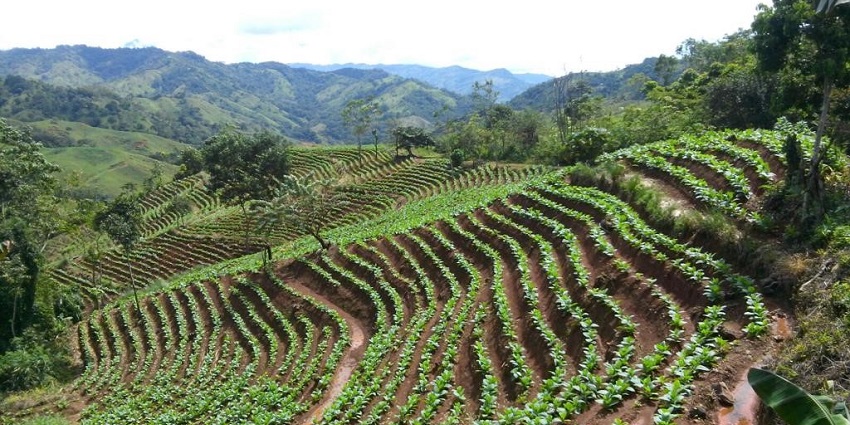 Salkantay Trekking: Scenic Challenging Route To Machu Picchu - TripXL
