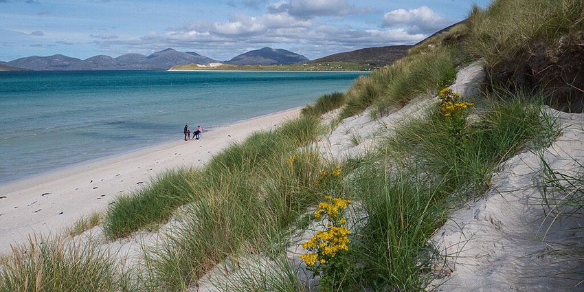 Beaches In Scotland: White Sands & Rugged Beauty - TripXL