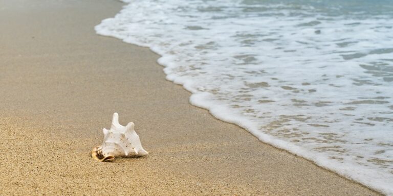 10 Beaches In India With Blue Water: Sun, Sand & Serenity - TripXL
