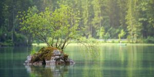 10 Lakes In Ahmedabad: Nature, Boating & Picnic Spots - TripXL