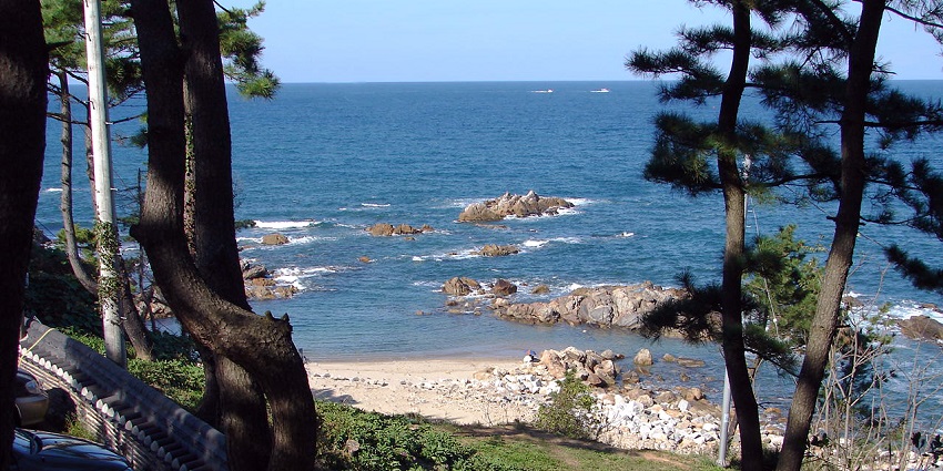 Explore The Best Beaches Near Seoul For A Perfect Escape - TripXL