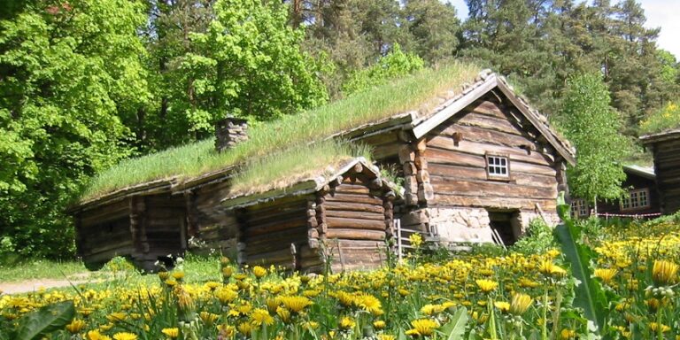 Best Things To Do In Oslo In March For The Amazing Trip - TripXL