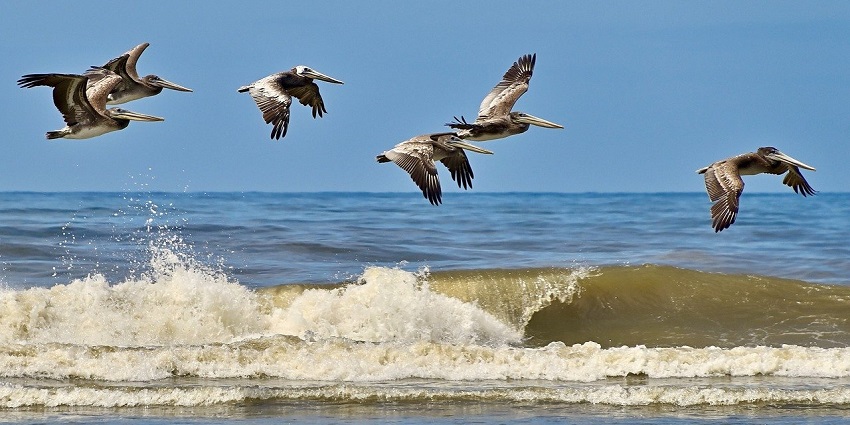 Beaches In Russia: Explore Scenic Seaside & Lake Shores - TripXL