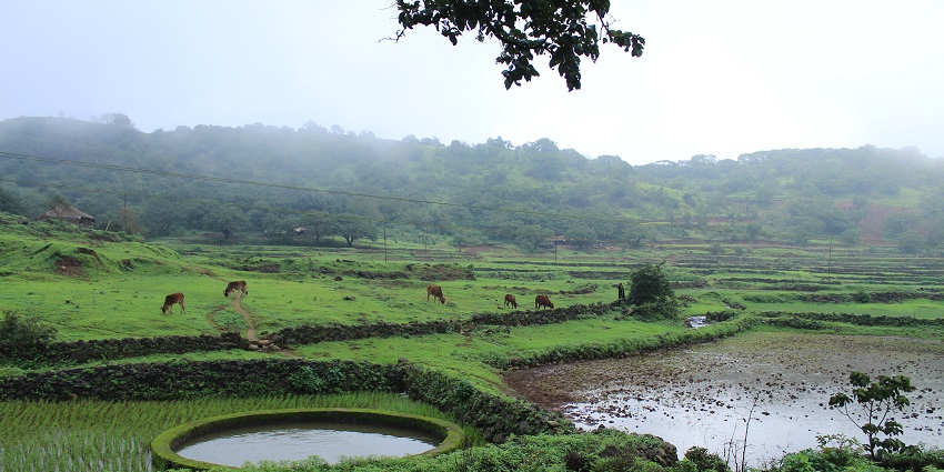 Thane City Guide: The Ultimate Guide For All Travellers - TripXL