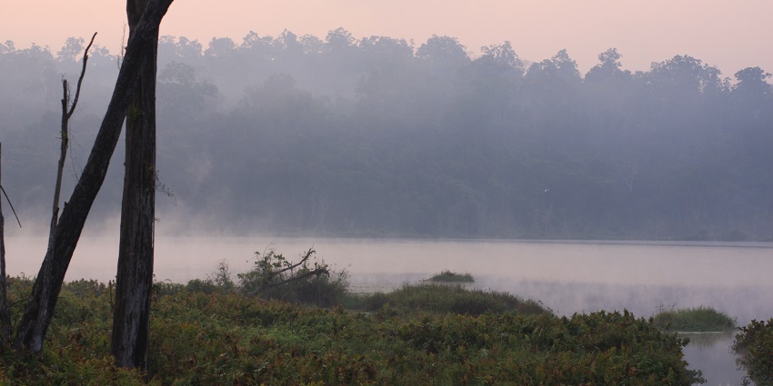 Lakes In Mizoram: Stunning Natural Beauty And Hidden Gems - TripXL