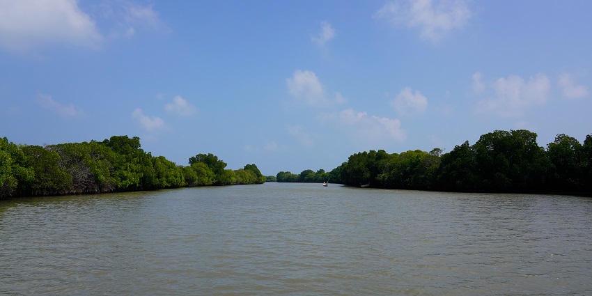 Largest Lake In Tamil Nadu: A Guide To The Veeranam Lake - TripXL