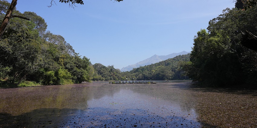 10 Lakes In Kerala That Will Take Your Breath Away - TripXL