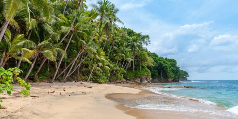 10 Beaches In India With Blue Water: Sun, Sand & Serenity - TripXL