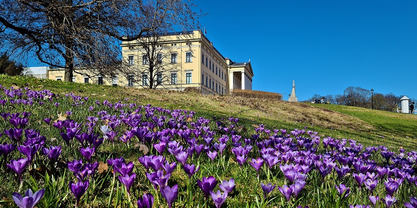 Best Things To Do In Oslo In March For The Amazing Trip - TripXL