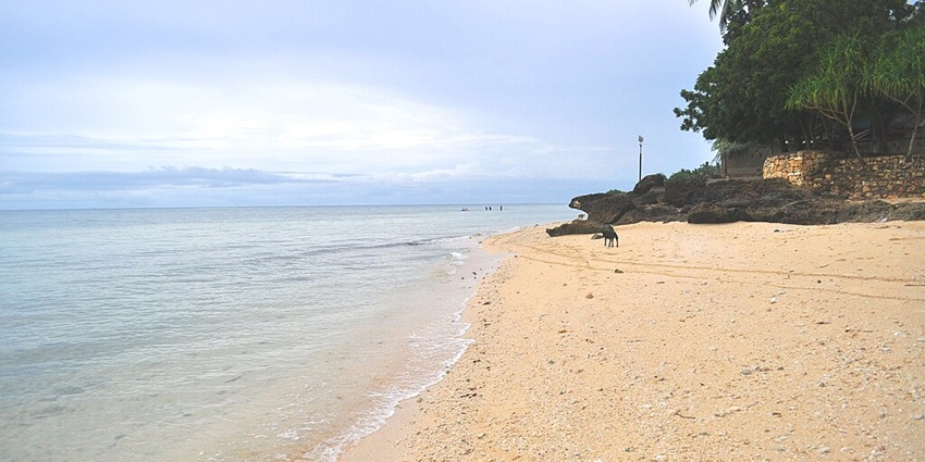 Cebu Beaches: Best White Sand Beaches And Island Getaways - TripXL