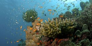 11 Amazing Adventure Sports In India For An Adventurous Soul - TripXL