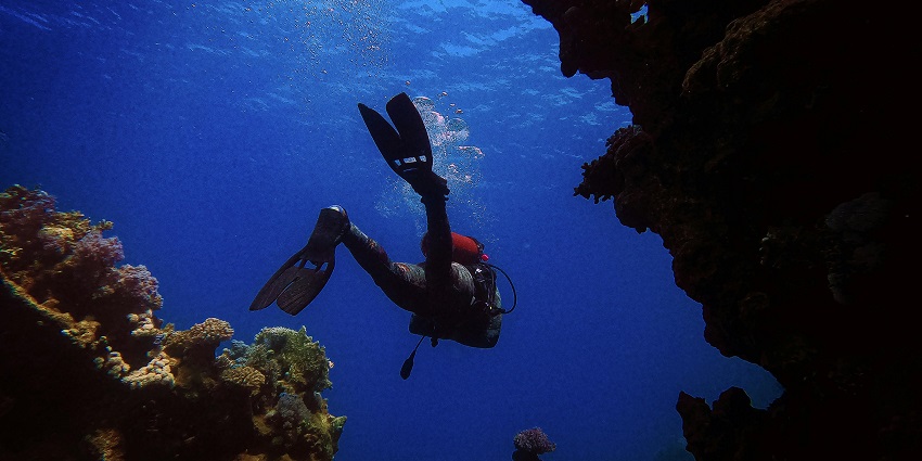 Scuba Diving In Philippines: Thrilling Guide For Adventurers - TripXL