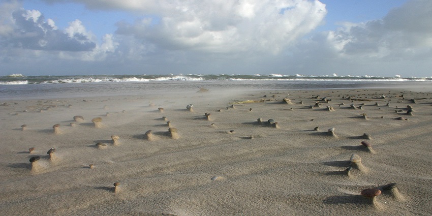 Top 10 Beaches In Denmark: Relax Along The Pretty Shores - TripXL