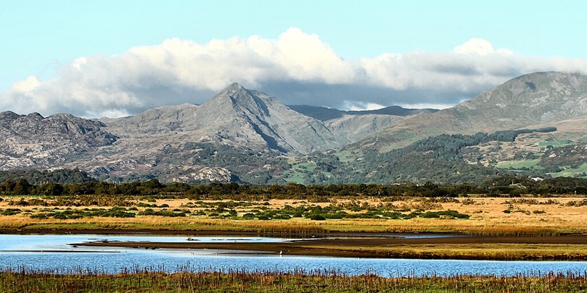 Snowdonia National Park: Unveil Unmatchable Fauna In The US - TripXL