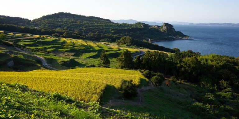 Teshima Art Museum Guide: A Unique Art & Nature Experience - TripXL