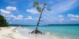 Top 10 Beaches In Bari: Vacay Amidst Sun, Sand & Serenity - TripXL