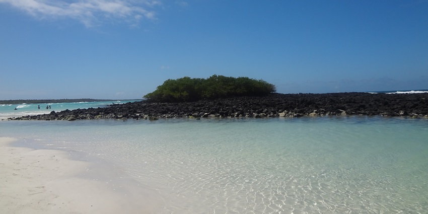 Galapagos National Park: Everything You Need To Know - TripXL