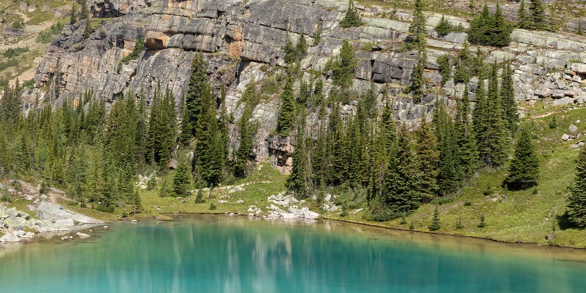 Lakes In Thane: The Ultimate Guide For Nature Enthusiast - TripXL