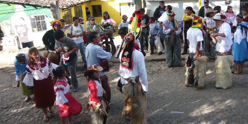 Yasuni National Park: The Ultimate Guide For Travellers - TripXL