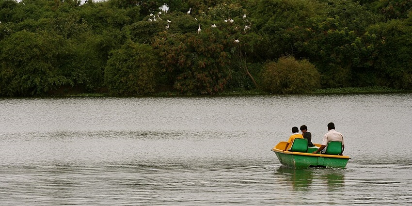 Things To Do At Damdama Lake: Adventure, Camping & Relaxation - TripXL