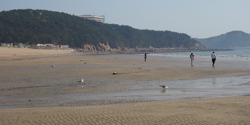 Explore The Best Beaches Near Seoul For A Perfect Escape - TripXL