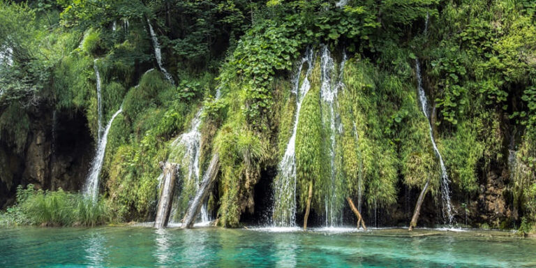 Negros Island: The Ultimate Tour Guide For The Travellers - TripXL