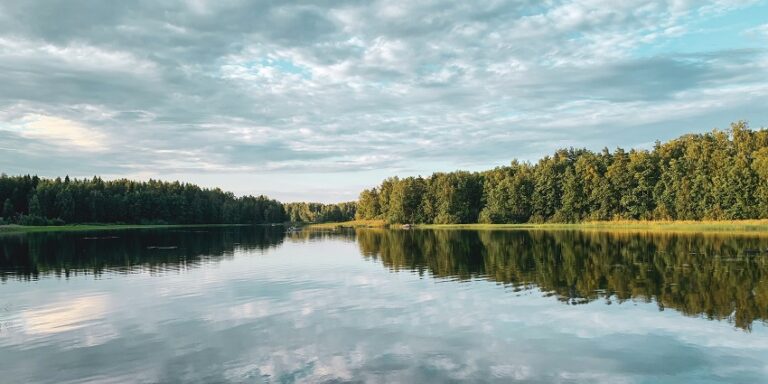 10 Lakes In Haryana: Scenic Getaways & Boating Spots - TripXL