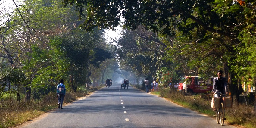 Kanwar Lake in Bihar: A Haven For Birds And Nature Lovers - TripXL