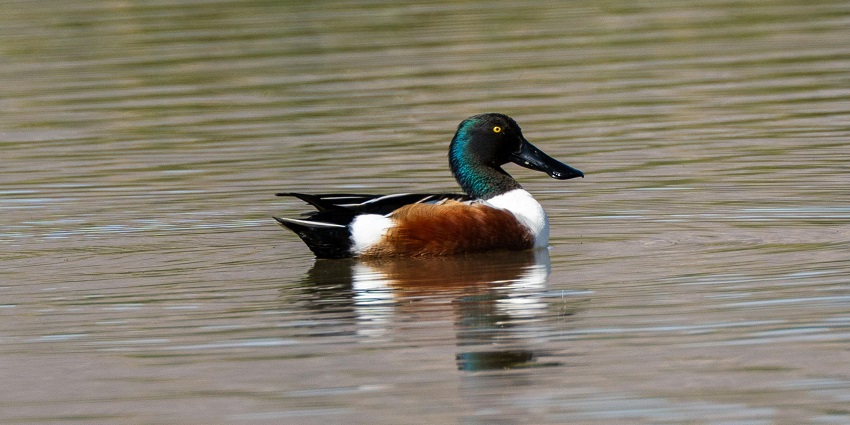 8 Lakes In Indore For A Peaceful Getaway - TripXL