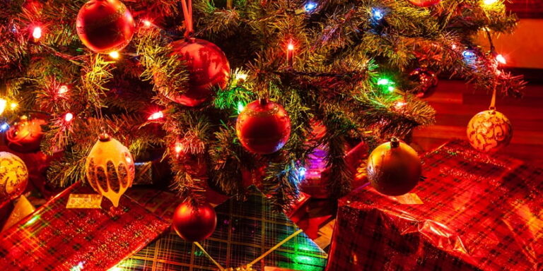 Christian Festivals in India: Celebrations And Traditions - TripXL