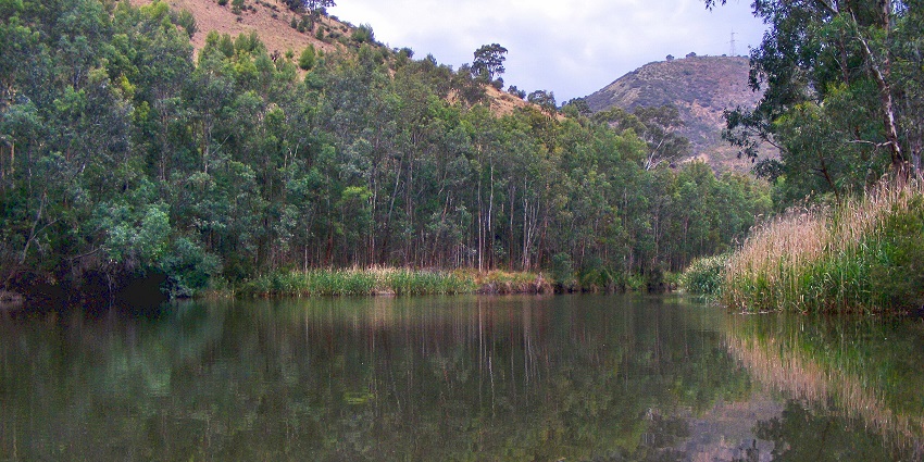 10 Largest Lakes In Australia: A Soothing Escape To Nature - TripXL
