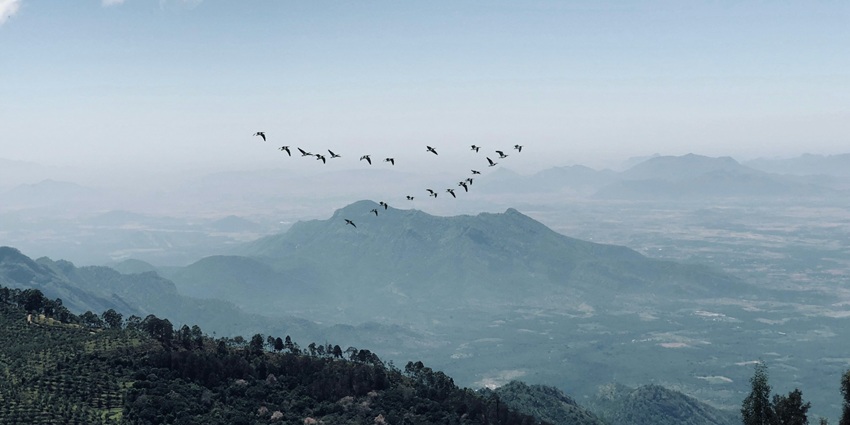 12 Hill Stations In Eastern Ghats For A Refreshing Retreat - TripXL