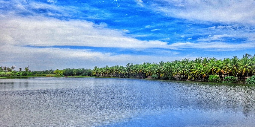 10 Coastal Beaches In India For A Memorable Tropical Getaway - TripXL