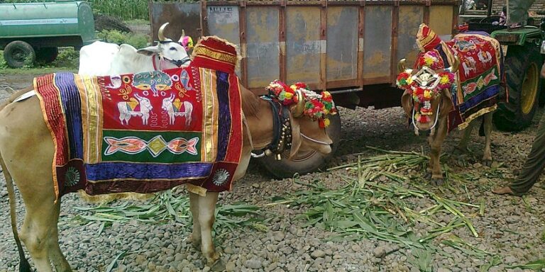 Vibrant September Festivals In India You Must Experience - TripXL
